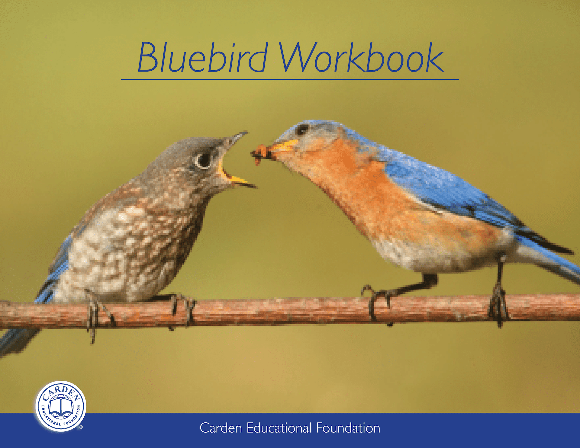 Bluebird Workbook - The Carden Educational Foundation